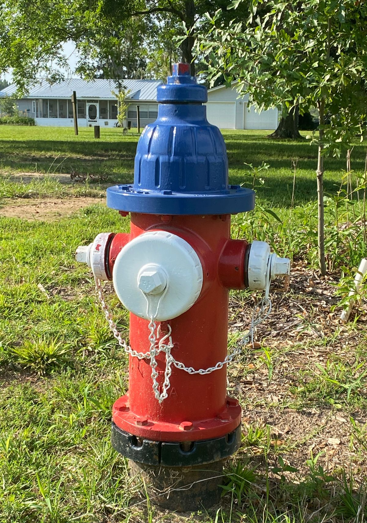 Fire Hydrants for Freedom