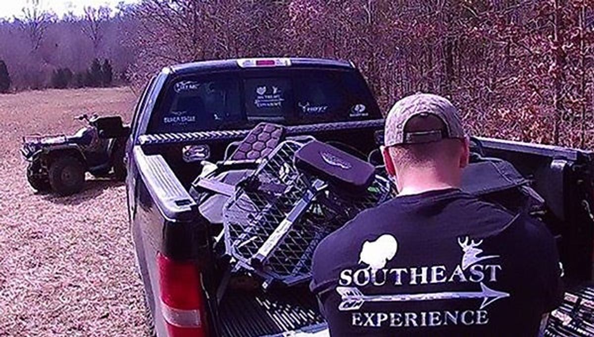 Raptor show