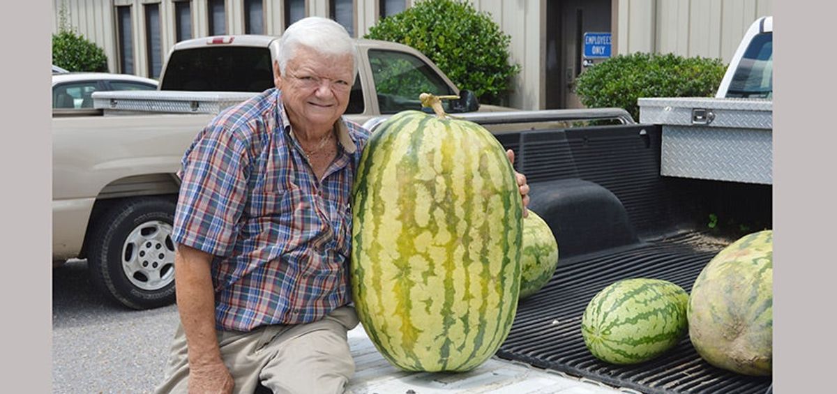Martin grows 100+ pound melon