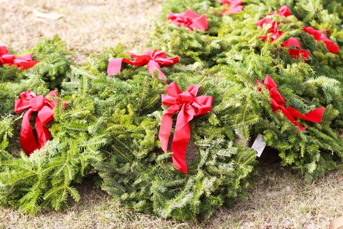 DAR honors local Veterans
