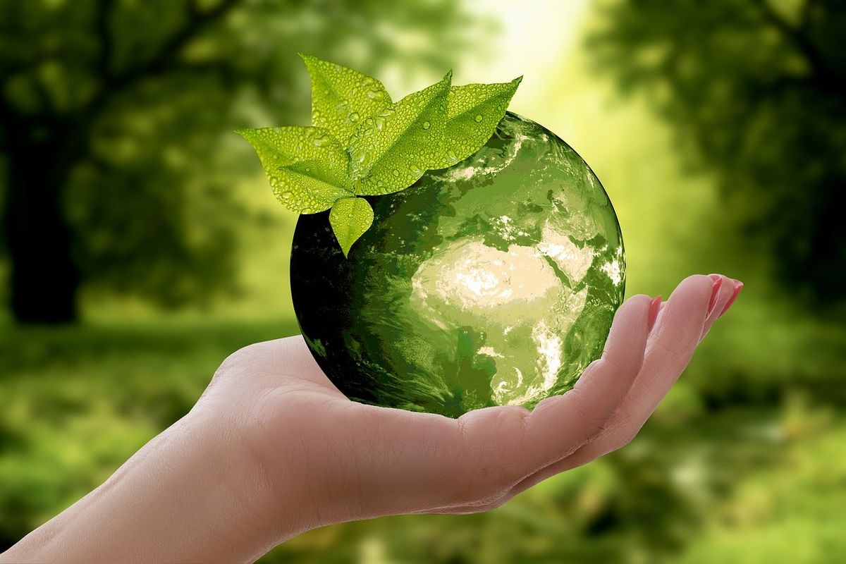 Reduce, reuse and recycle — nine items to easily recycle