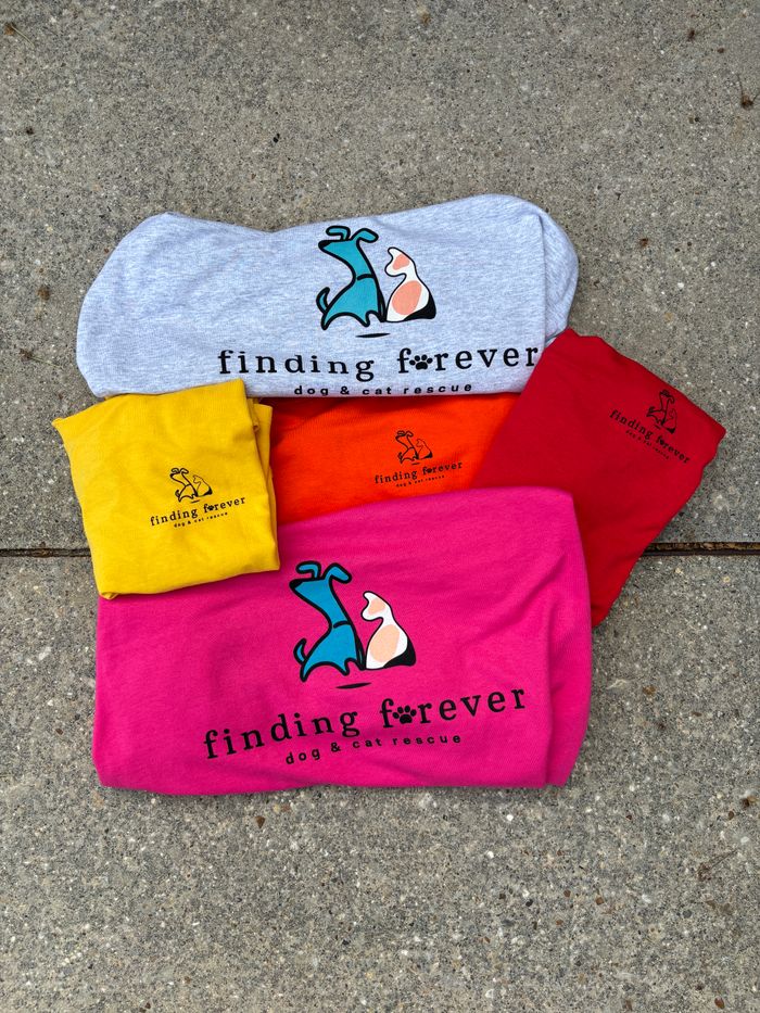 Star-News helps fund Finding Forever