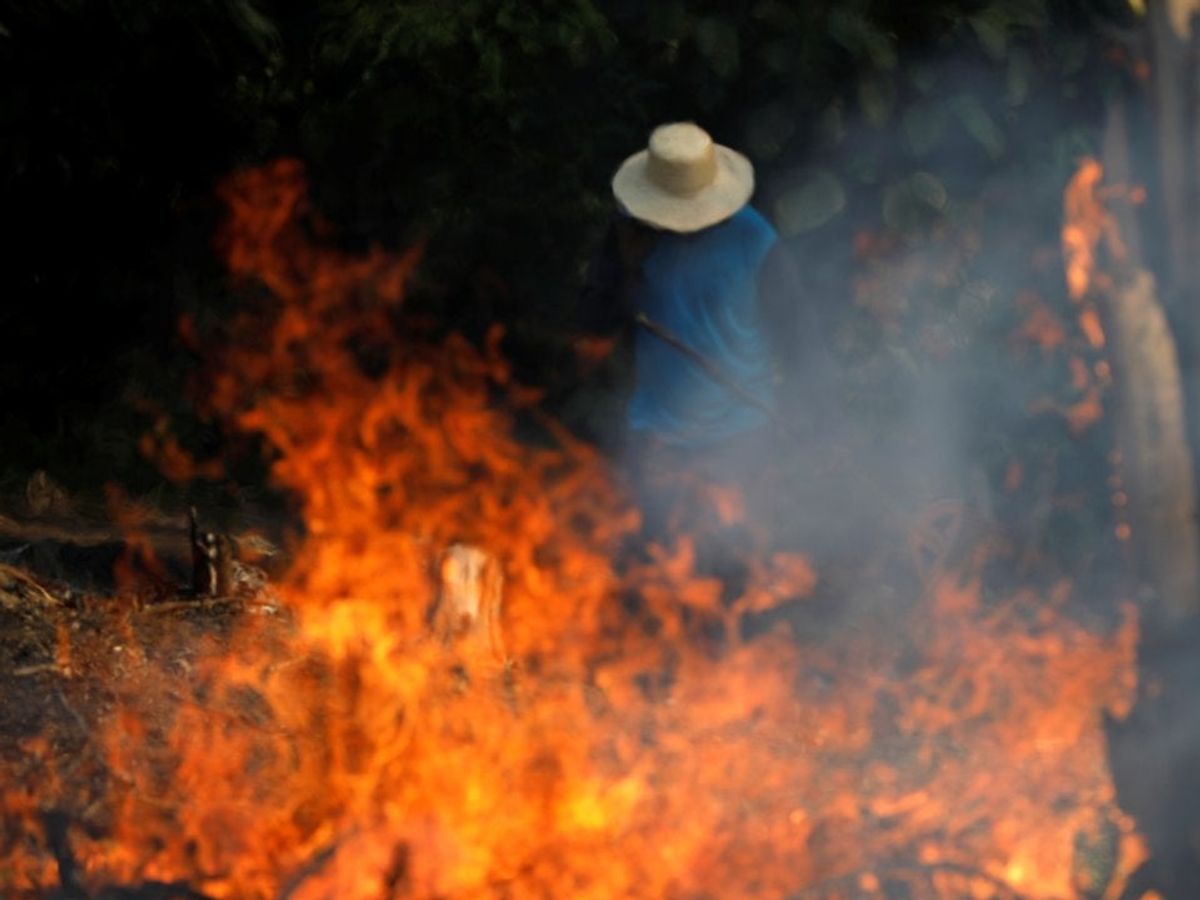 Amazon still burning at record rate