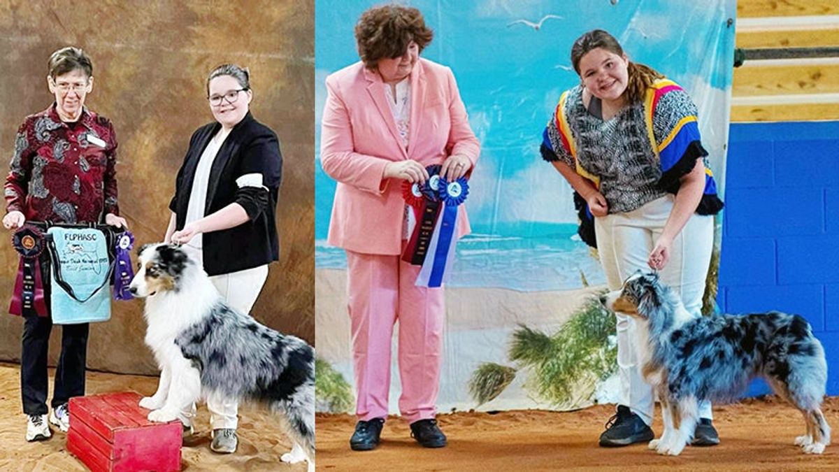 Maddox, Navy receive second invitation to Junior Handler Fin...