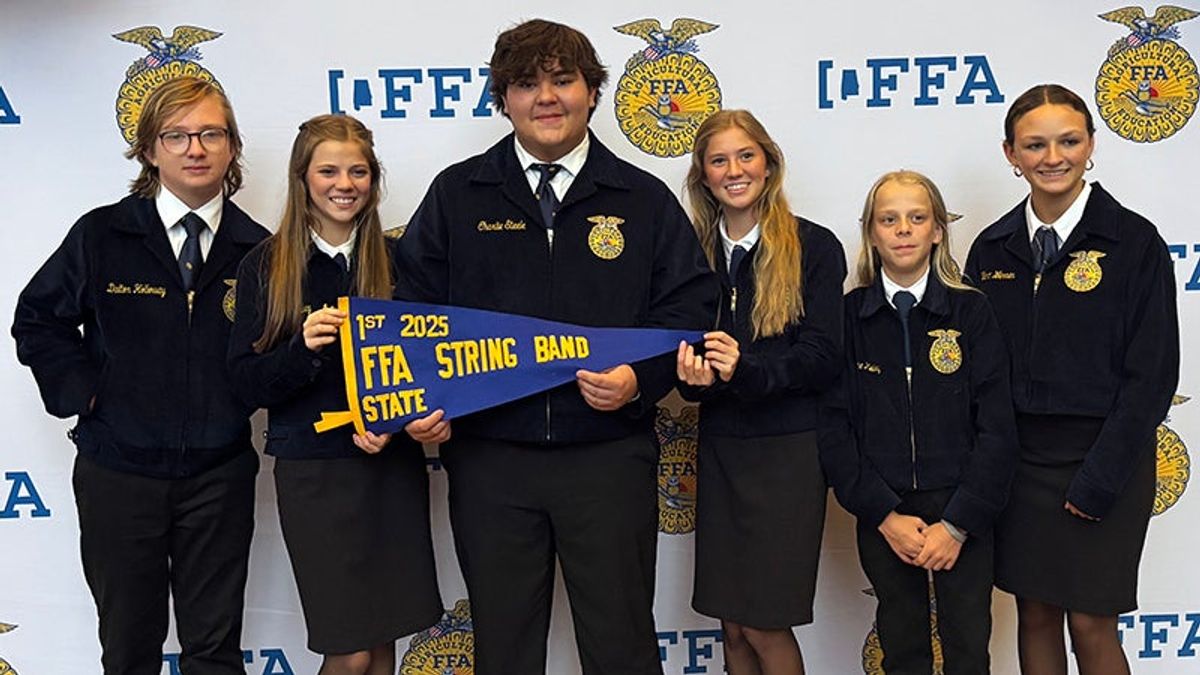 STRIKE A CHORD: Pleasant Home School String Band wins state ...