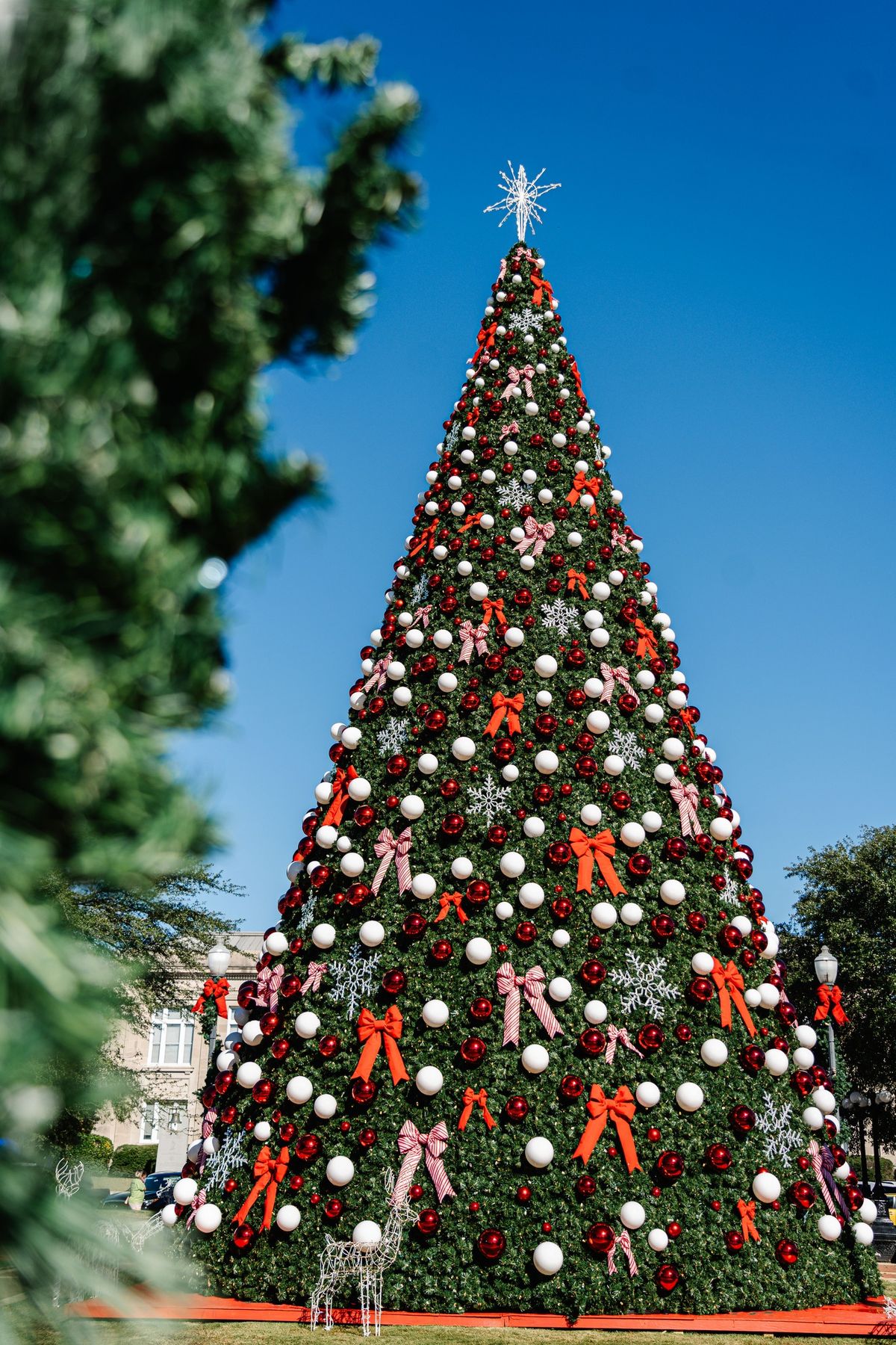 Christmas in Candyland returns