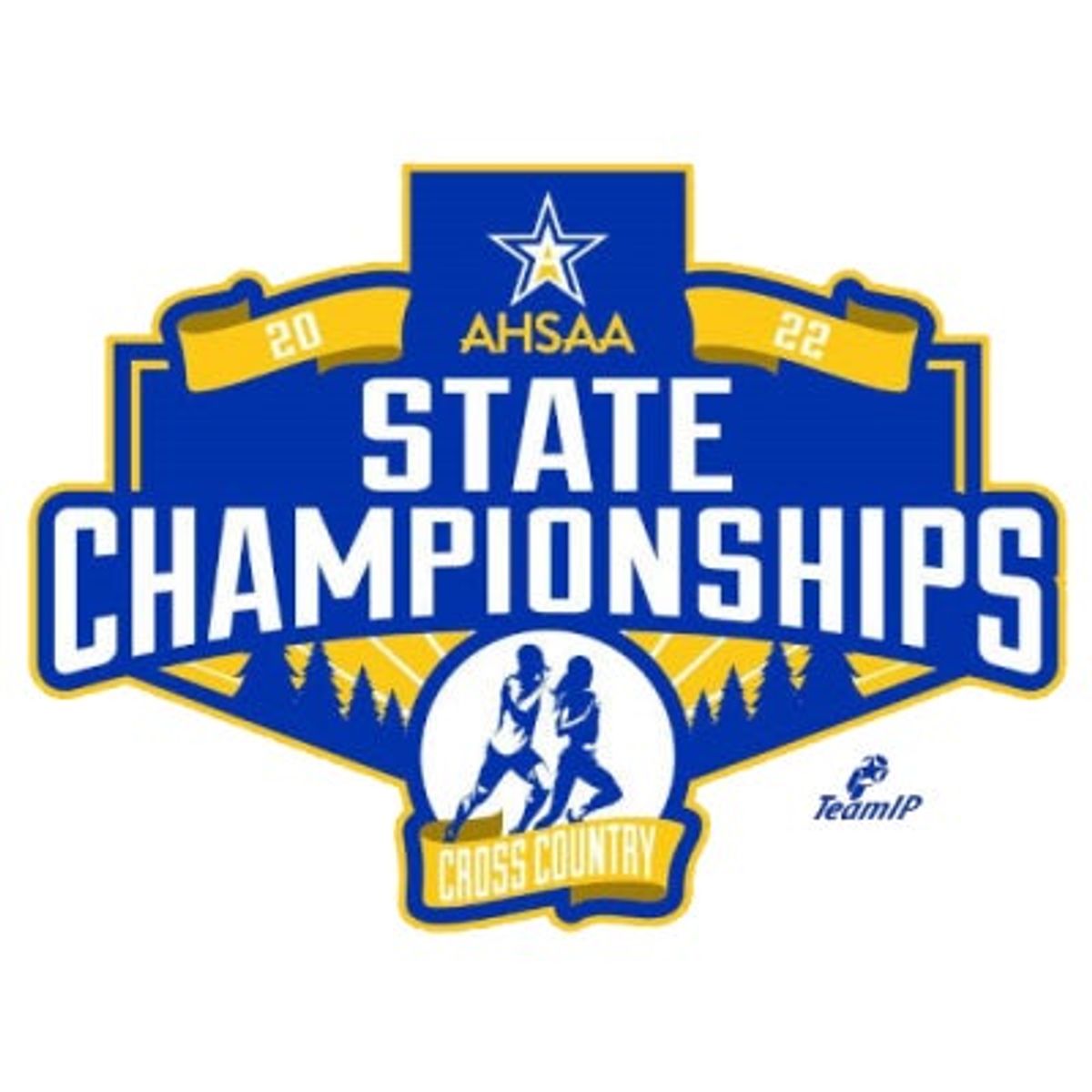 Local teams to compete at cross-country state championship