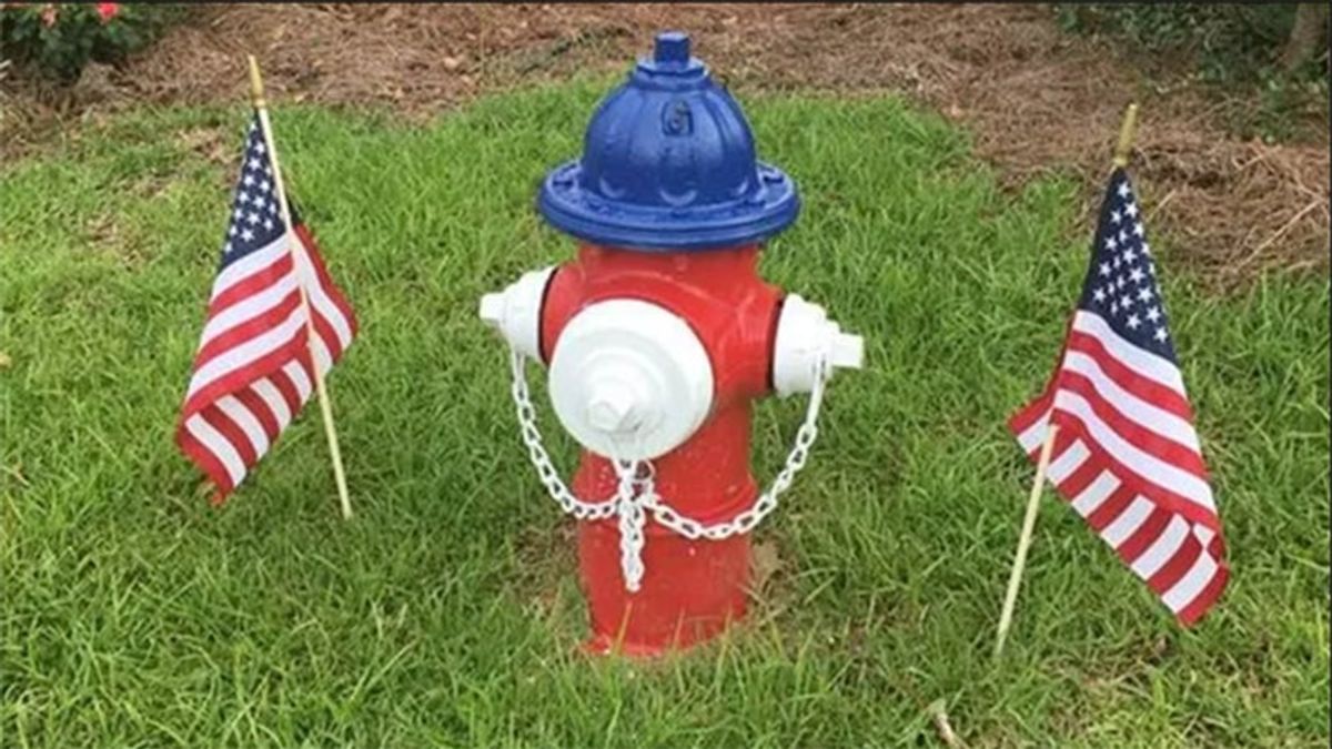 DAR Old Three Notch Chapter brings back "Freedom Hydrant" program