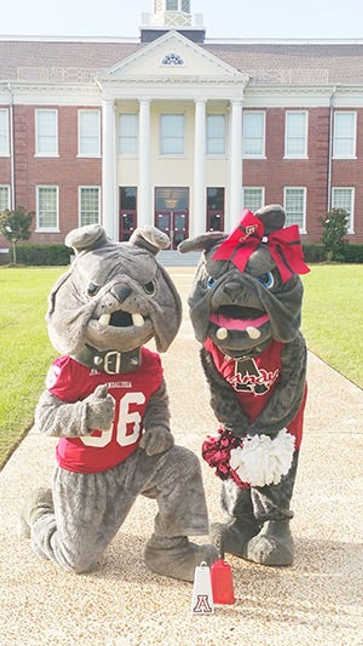 Brother, sister duo teams up as AHS mascots