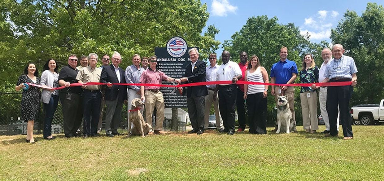 New dog park opens
