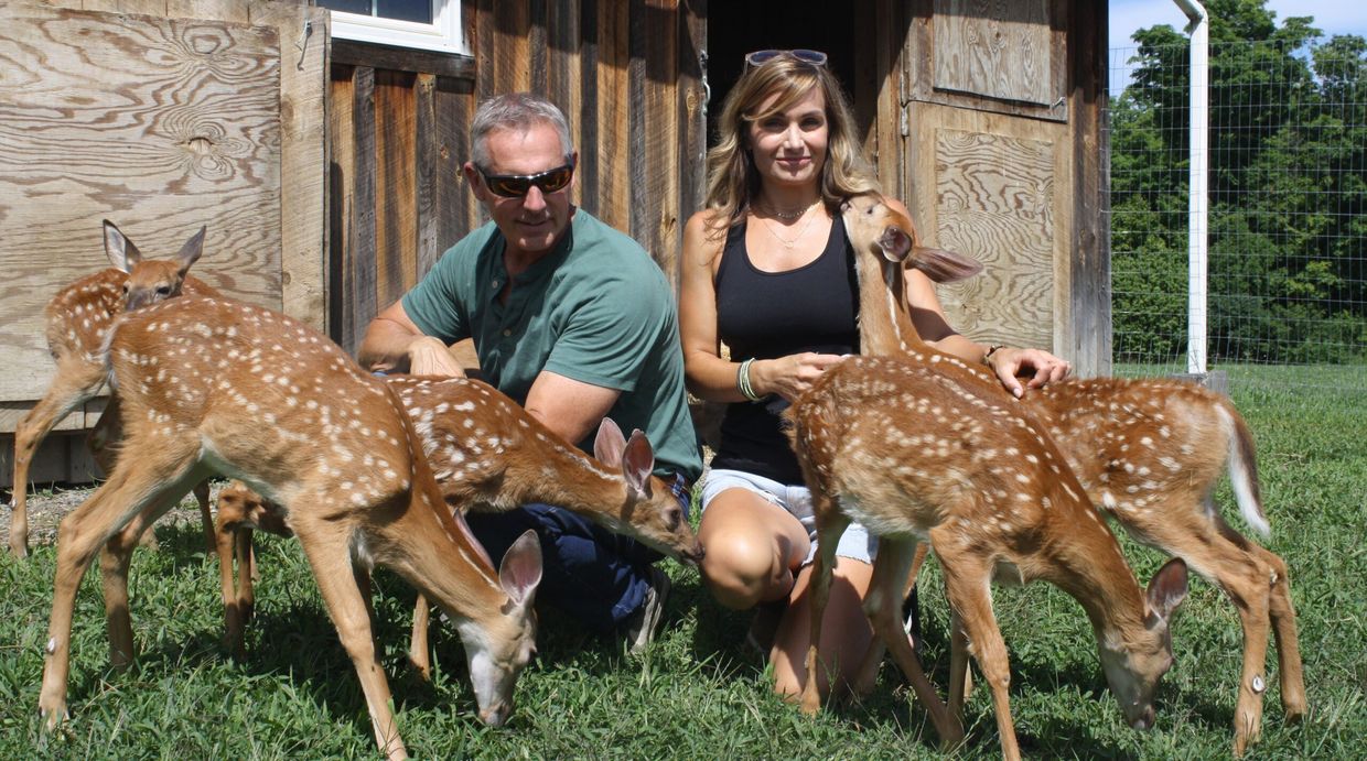 Area teacher builds wildlife rehabilitation community
