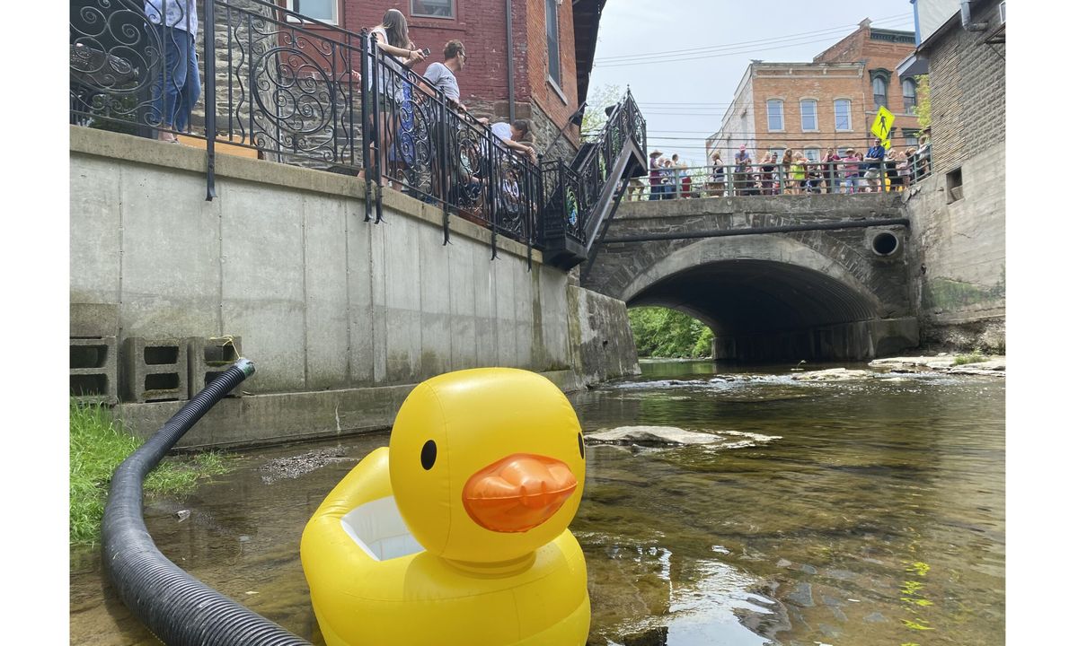 Rubber duck race returns to T-burg