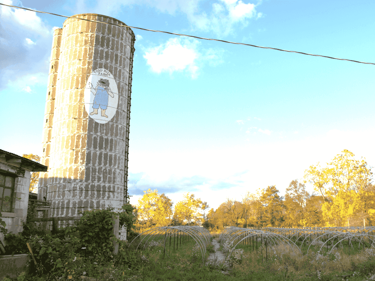 Sapphire Farms, Newfield's cannabis farm, seeks to upgrade m...