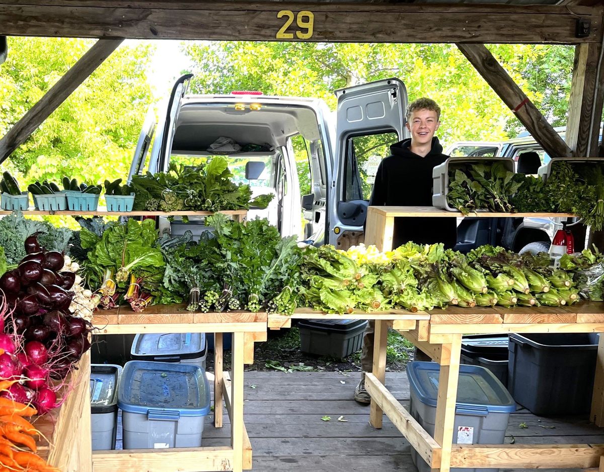 The synergy of CSAs