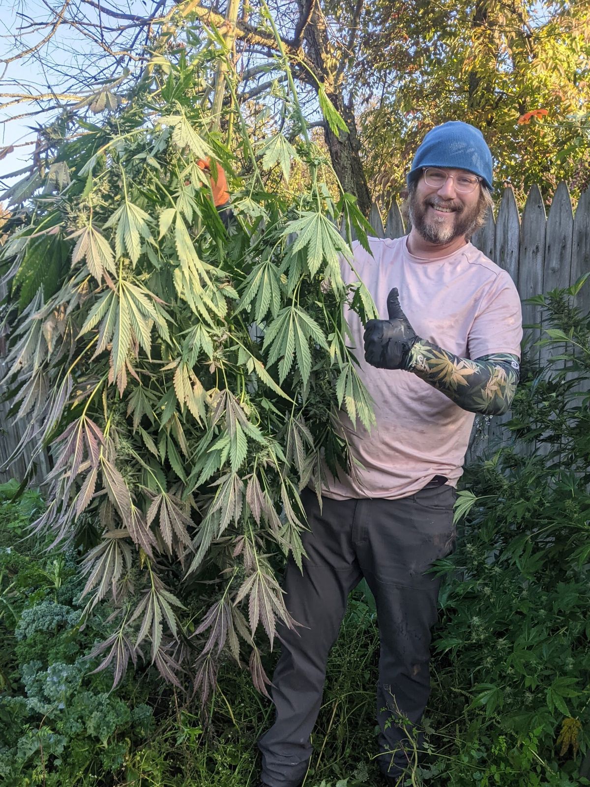 Dude, I'm So High Right Now… On the Next Economy