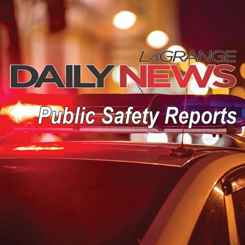 Dog found dead while tethered to tree