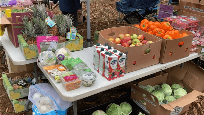 New nonprofit turns excess food into food insecurity solution
