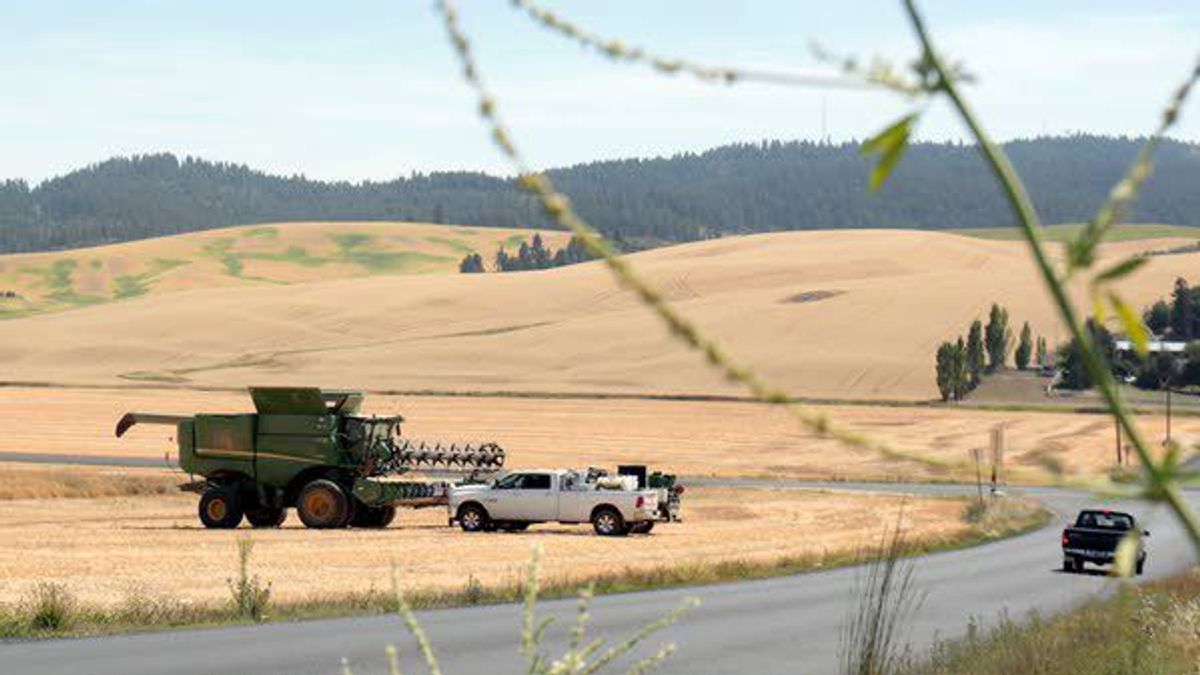High yields but poor crop