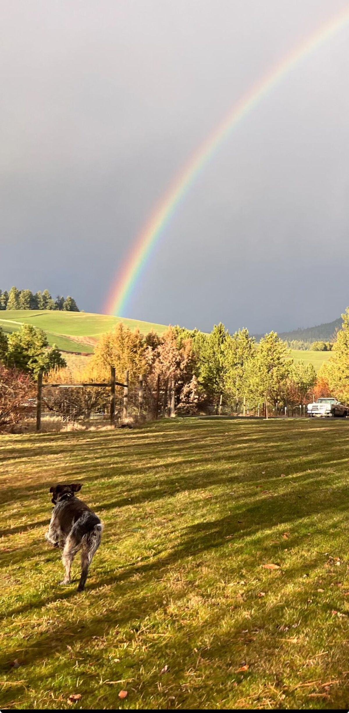 Chasing the rainbow