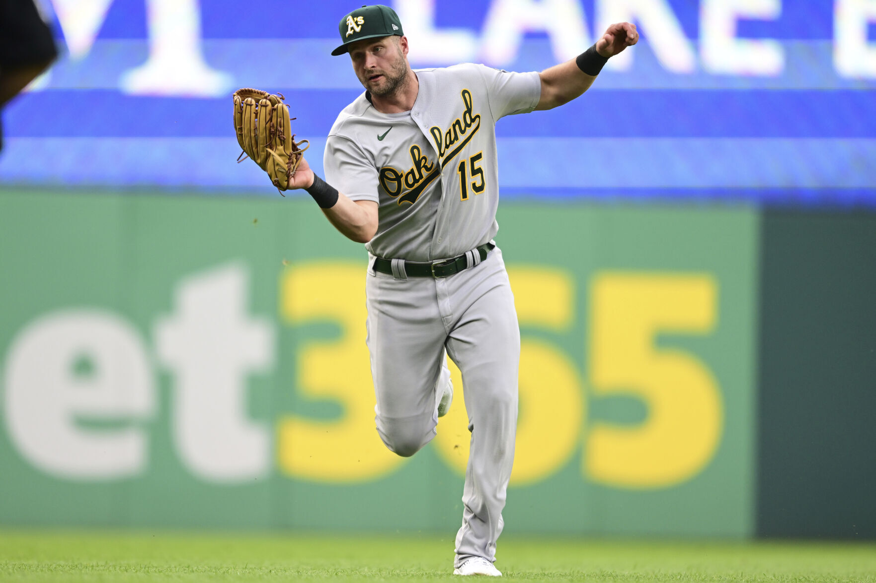 Former area college baseball players still grinding in the pros
