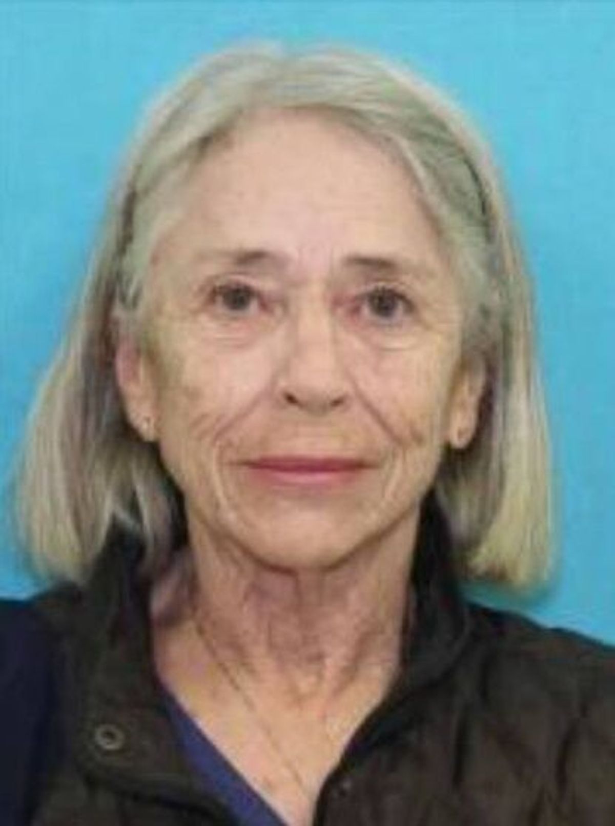 Idaho County officials looking for Lucile woman who went mis...