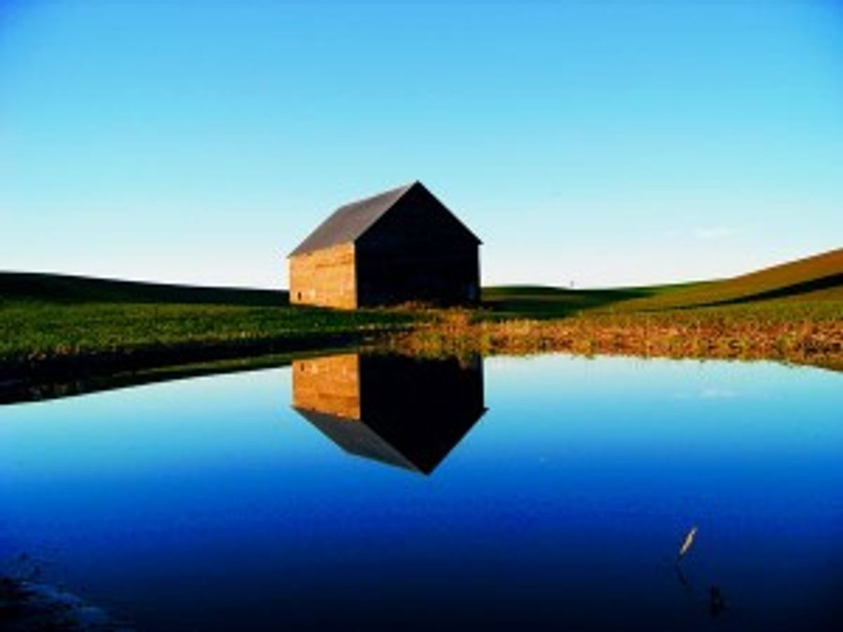 READER PHOTO OF THE DAY July 26