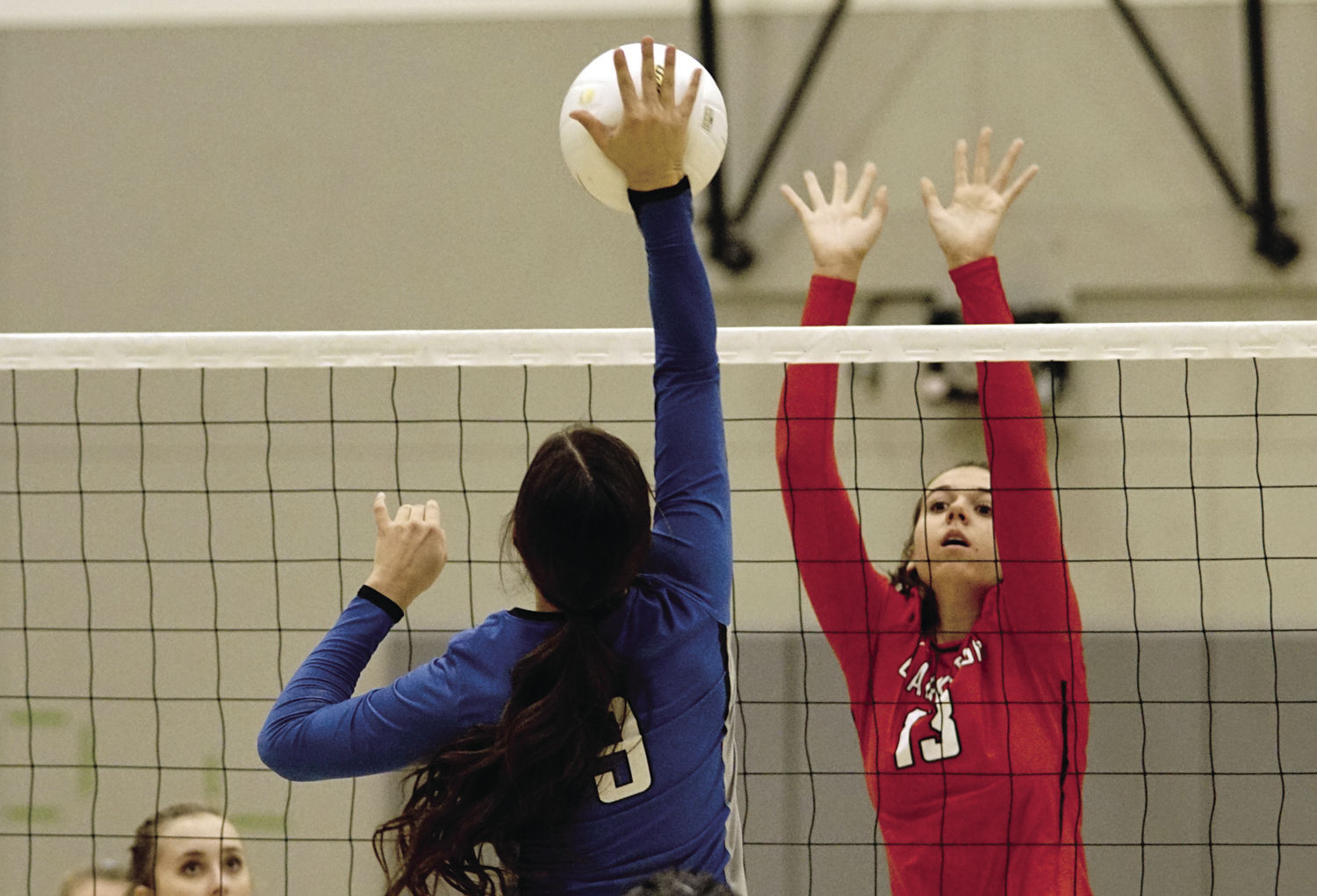 Volleyball: Greyhounds sweep Bantams