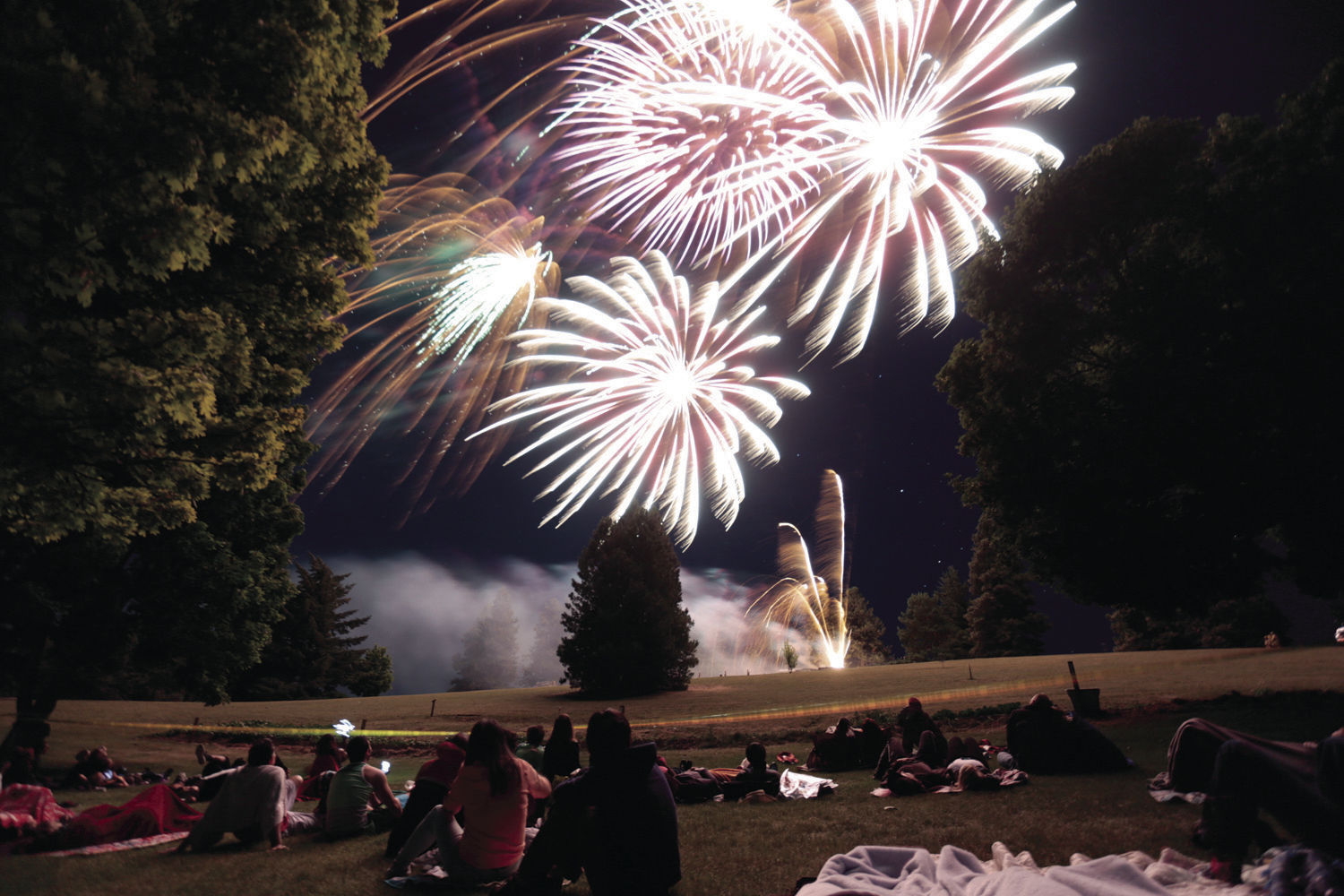 Pullman Transit provides free rides to Fourth of July celebration