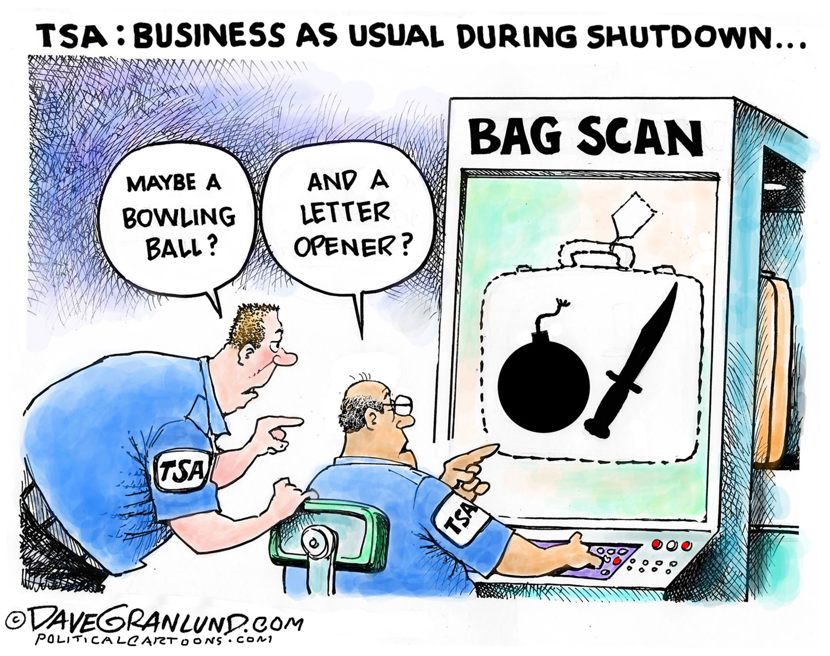 Political Cartoon: TSA