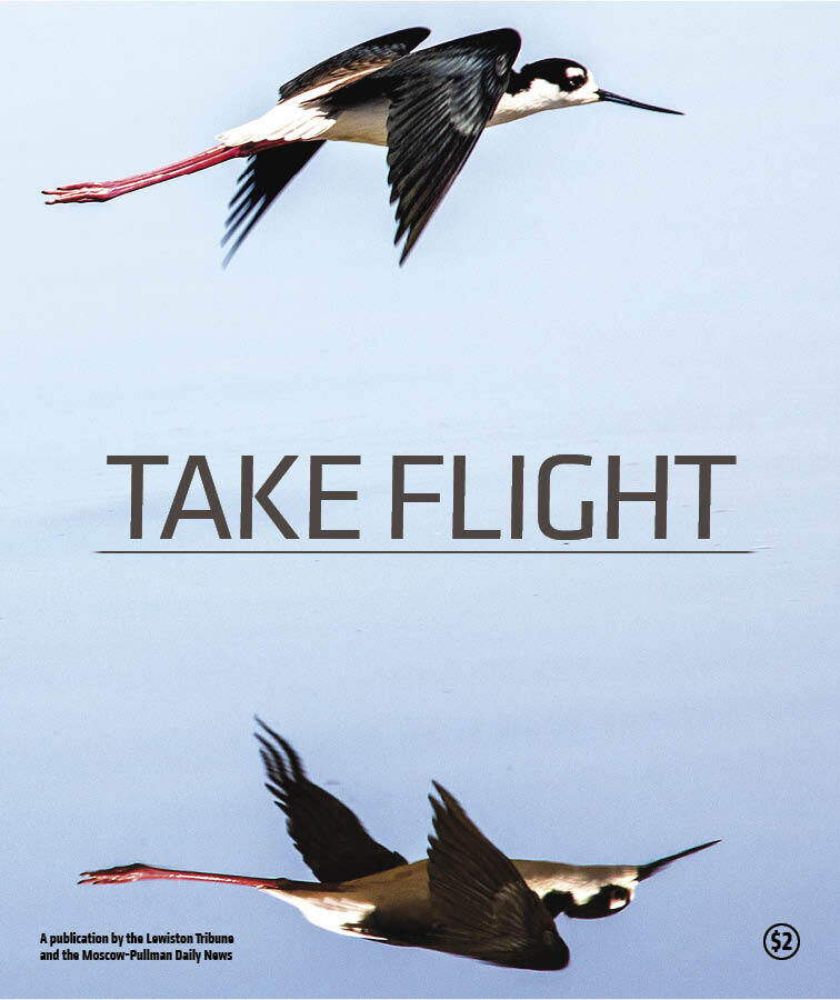 Take Flight Podcast