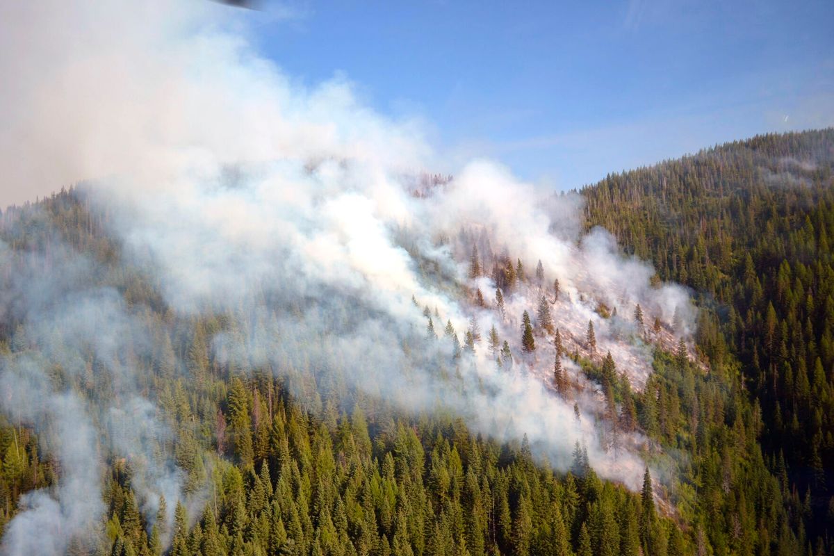 Agencies working on better elk habitat, reduced wildfire risk