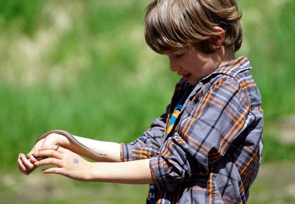 Up close with frogs, birds and snakes