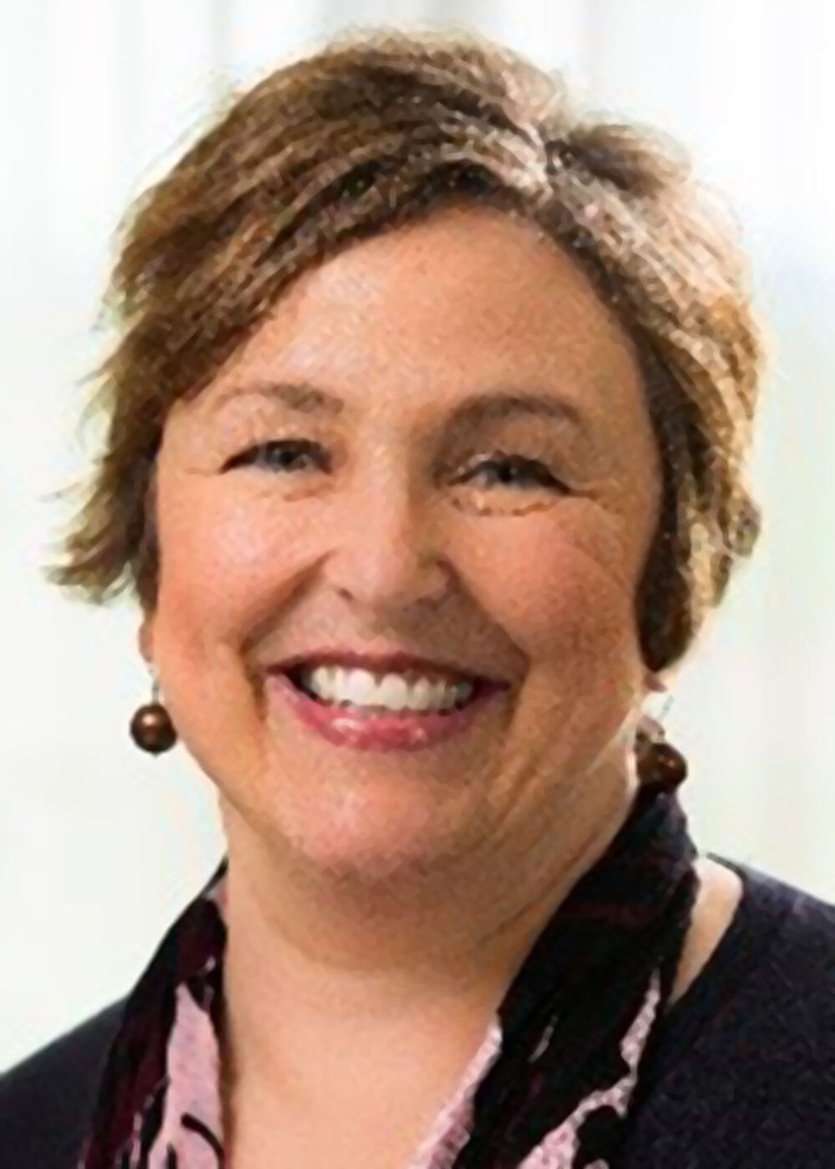 Pullman group working on problem of affordable housing