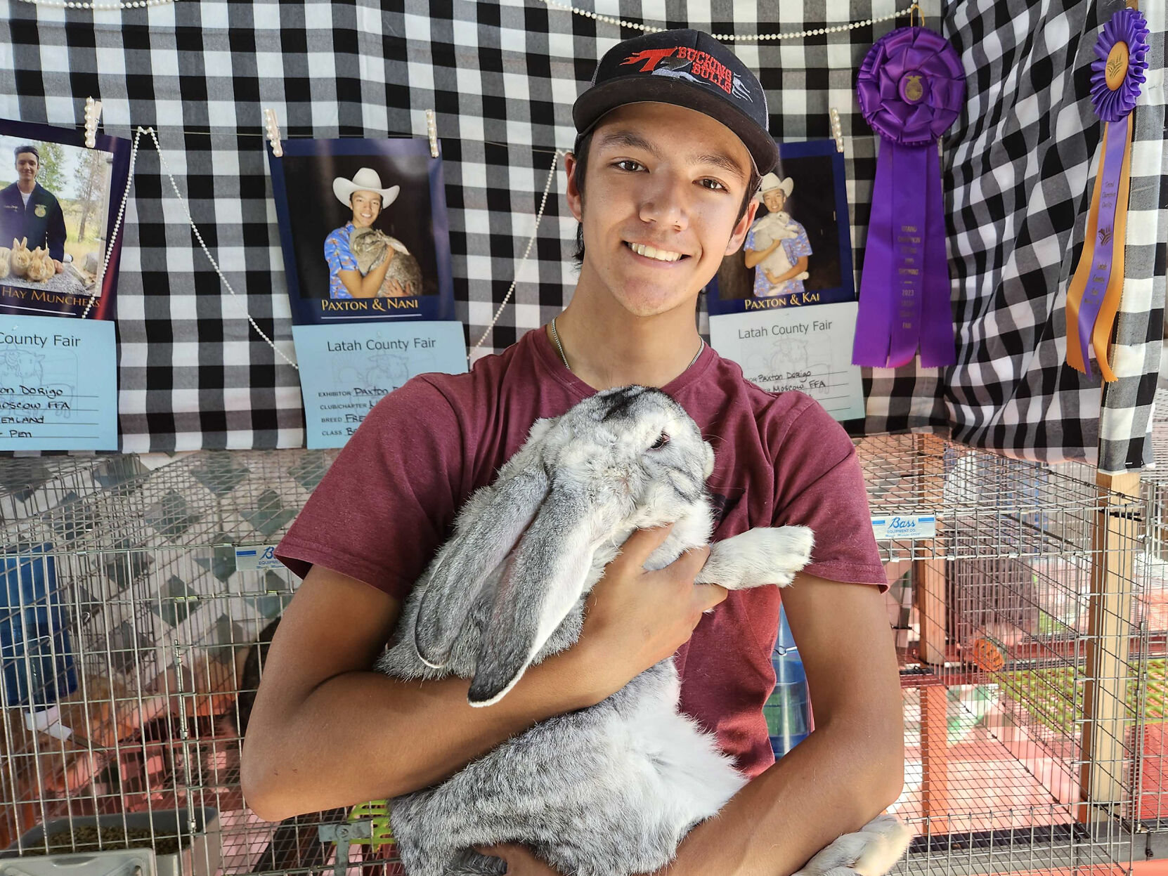 Giant rabbits steal the show