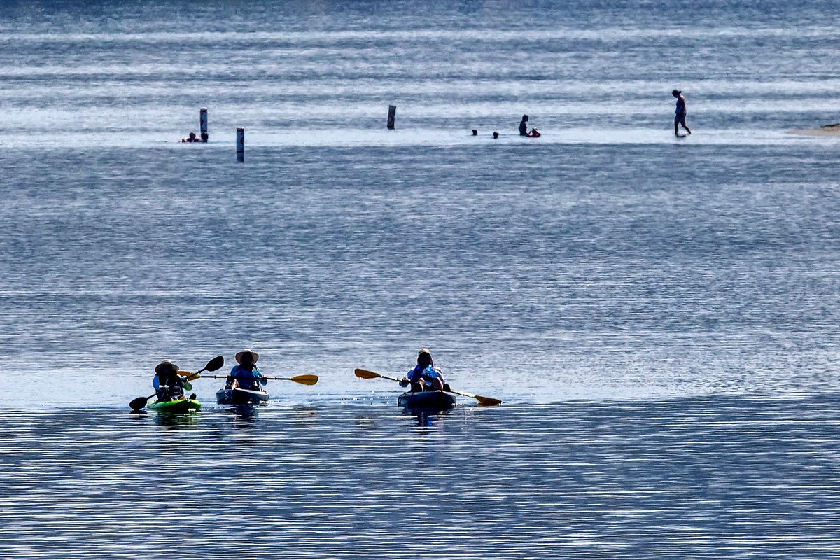 Survey asks people how they use the Lower Snake River