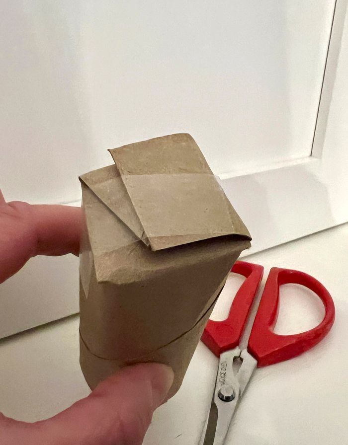 Upcycle TP rolls, newspaper for starting seeds