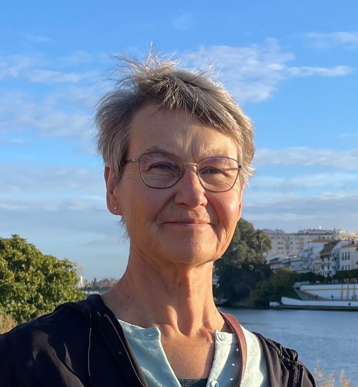 Saving Green: Induction stoves can offer health benefits and improved ...