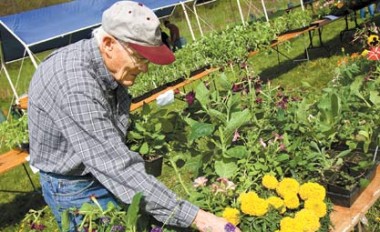 Pullman Community Gardens offer room to grow