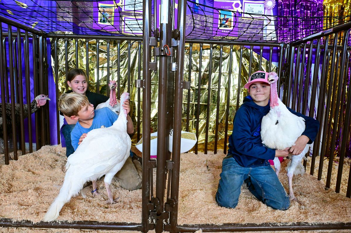 The fair is for the birds ... and the rabbits, cows and shee...
