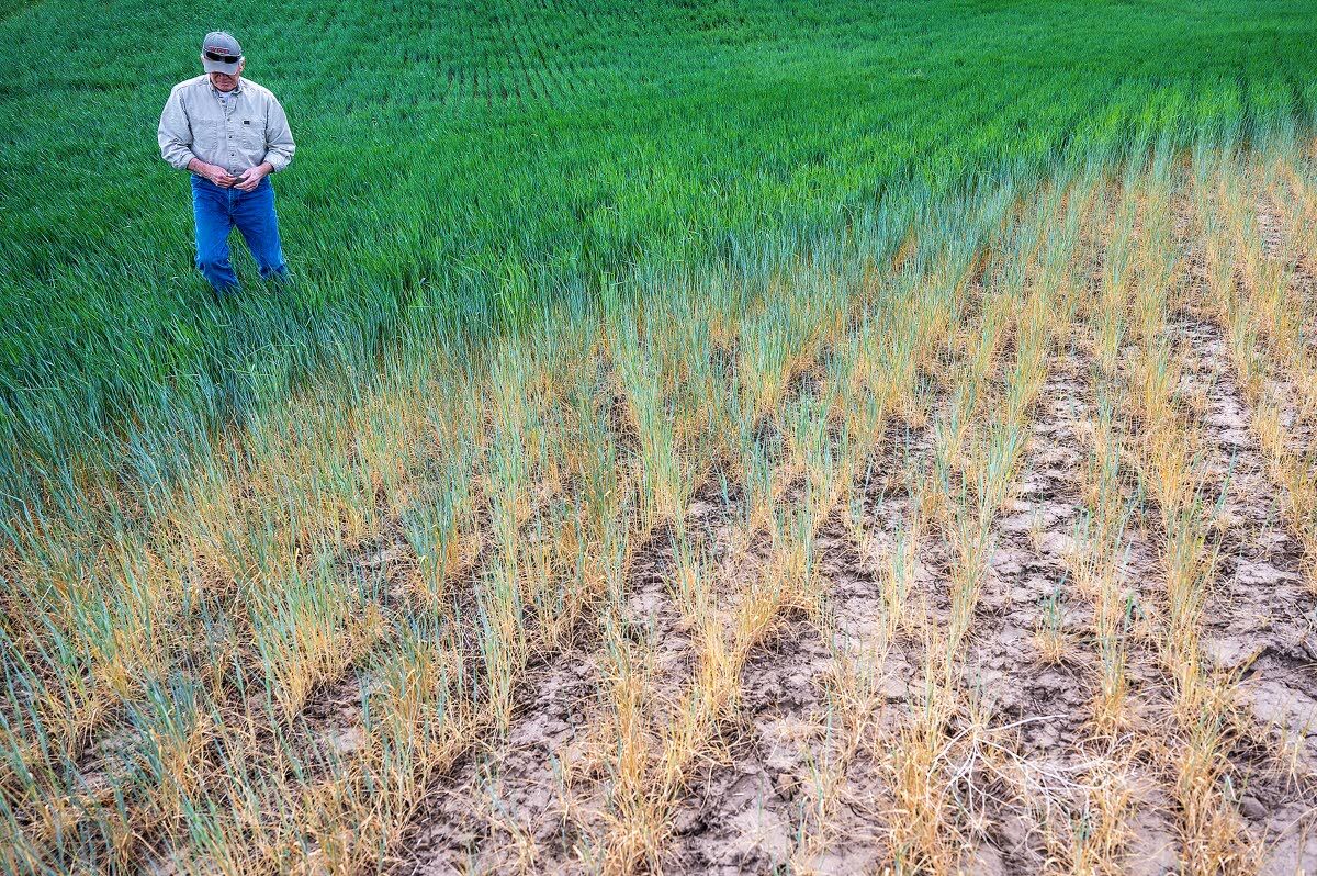 Dry spring has region’s farmers ‘praying’ for rain