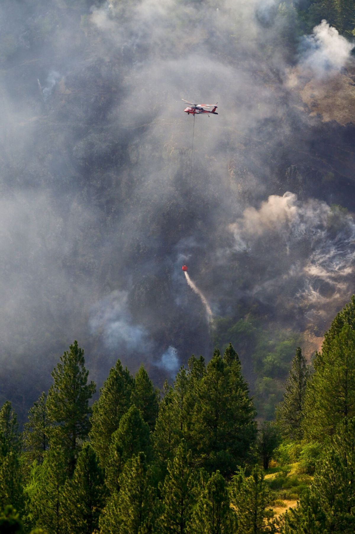 Texas Ridge Fire at 20% containment, minimal fire activity expected