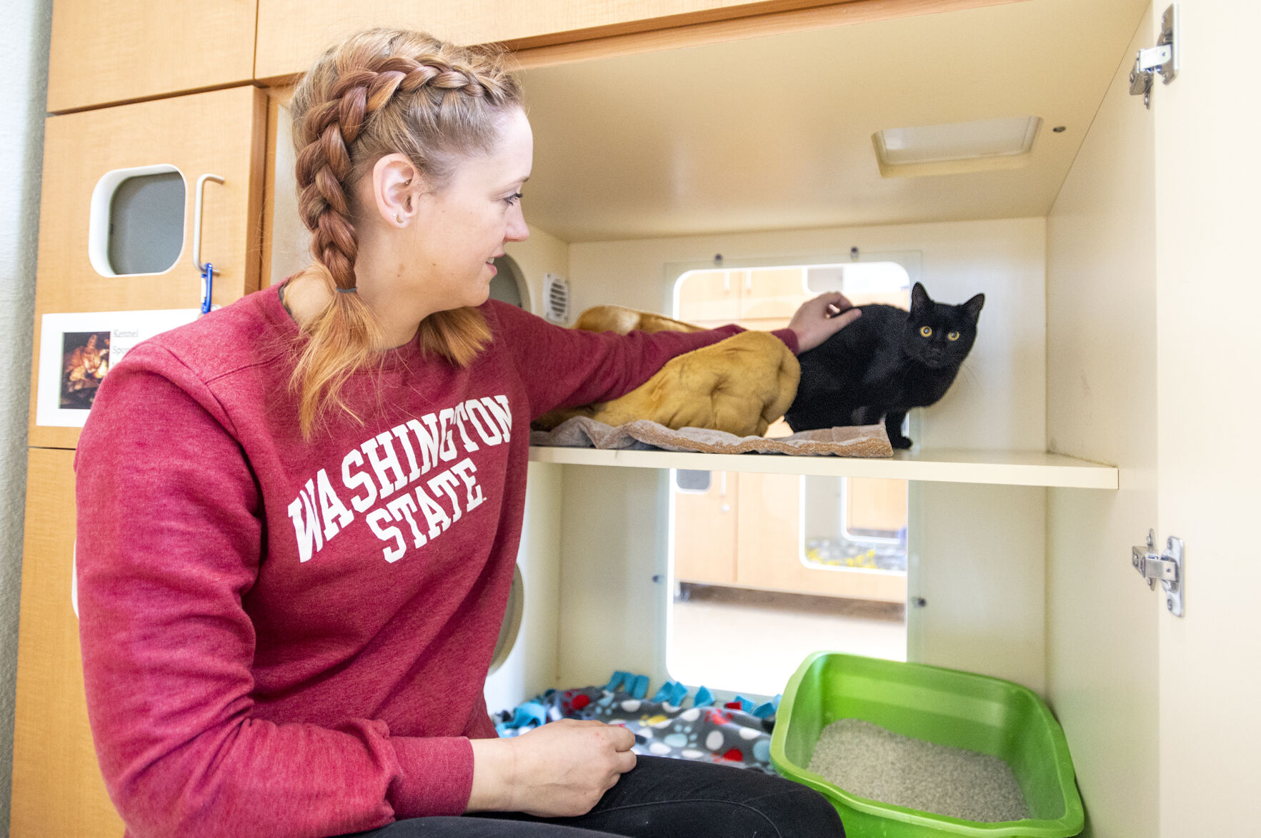 Public steps up to help humane society