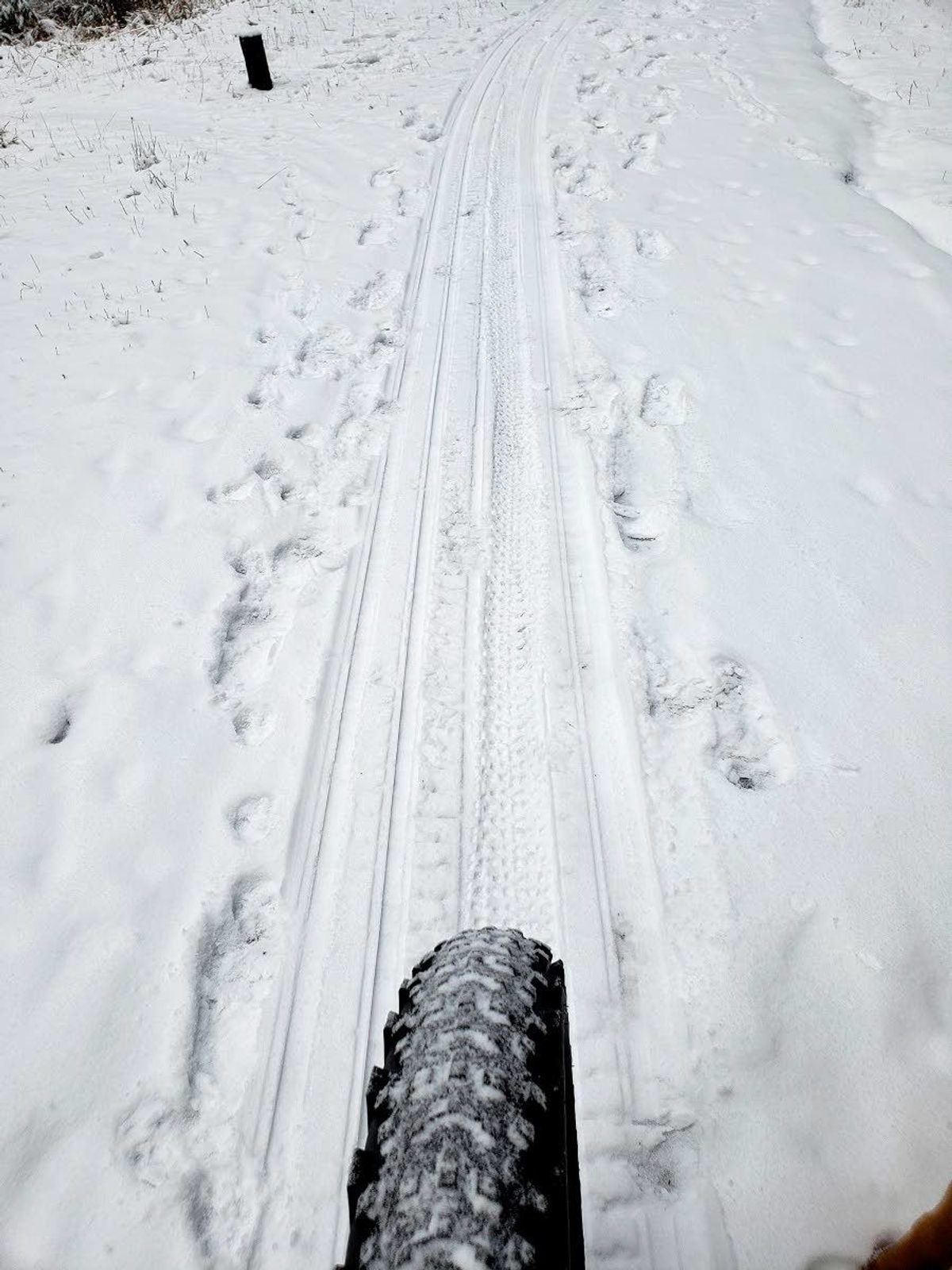 MAMBA paves way for trail users on mountain