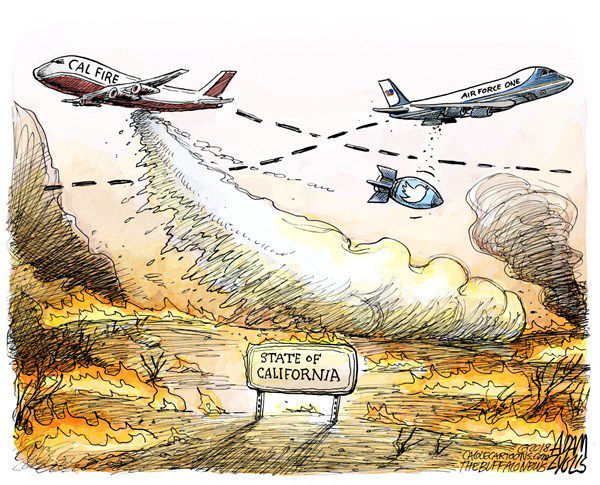 Political Cartoon: State of California