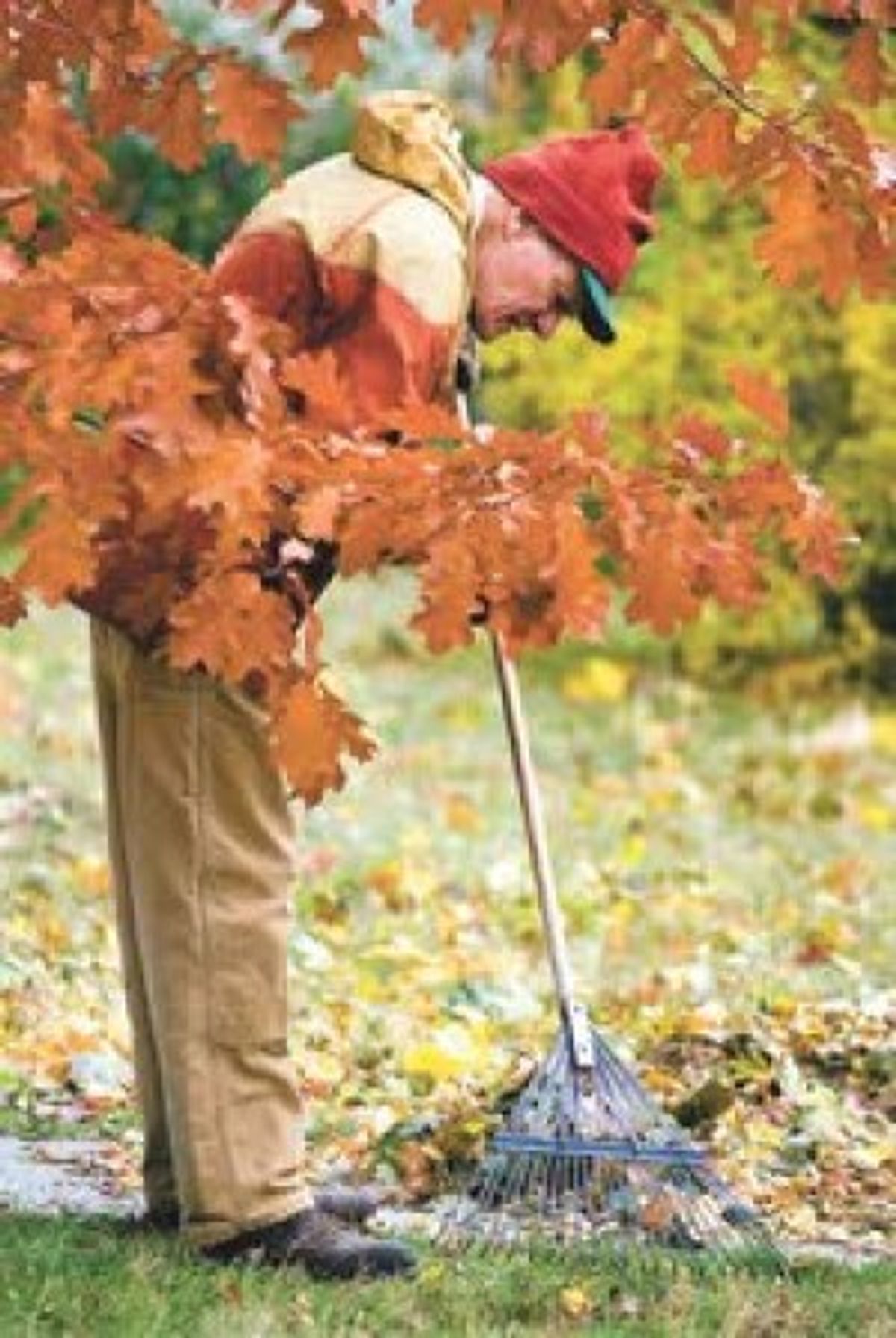 RAKING IT IN