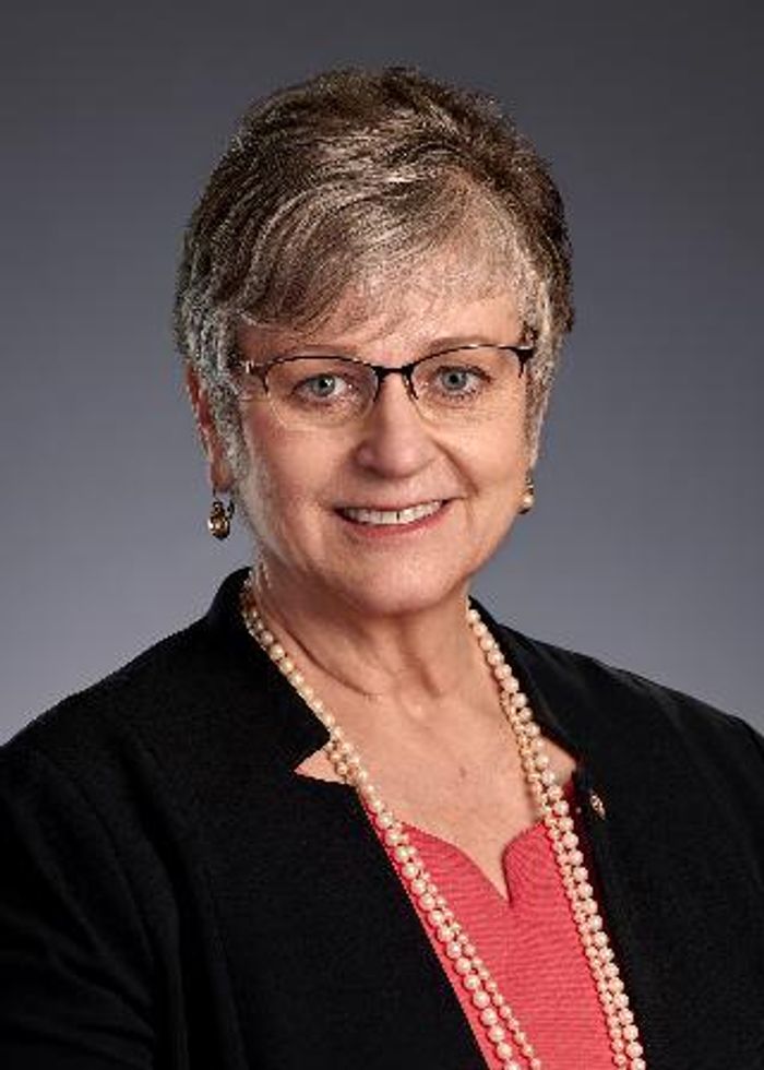 McCann, Carter-Goodheart vie for District 6A House seat