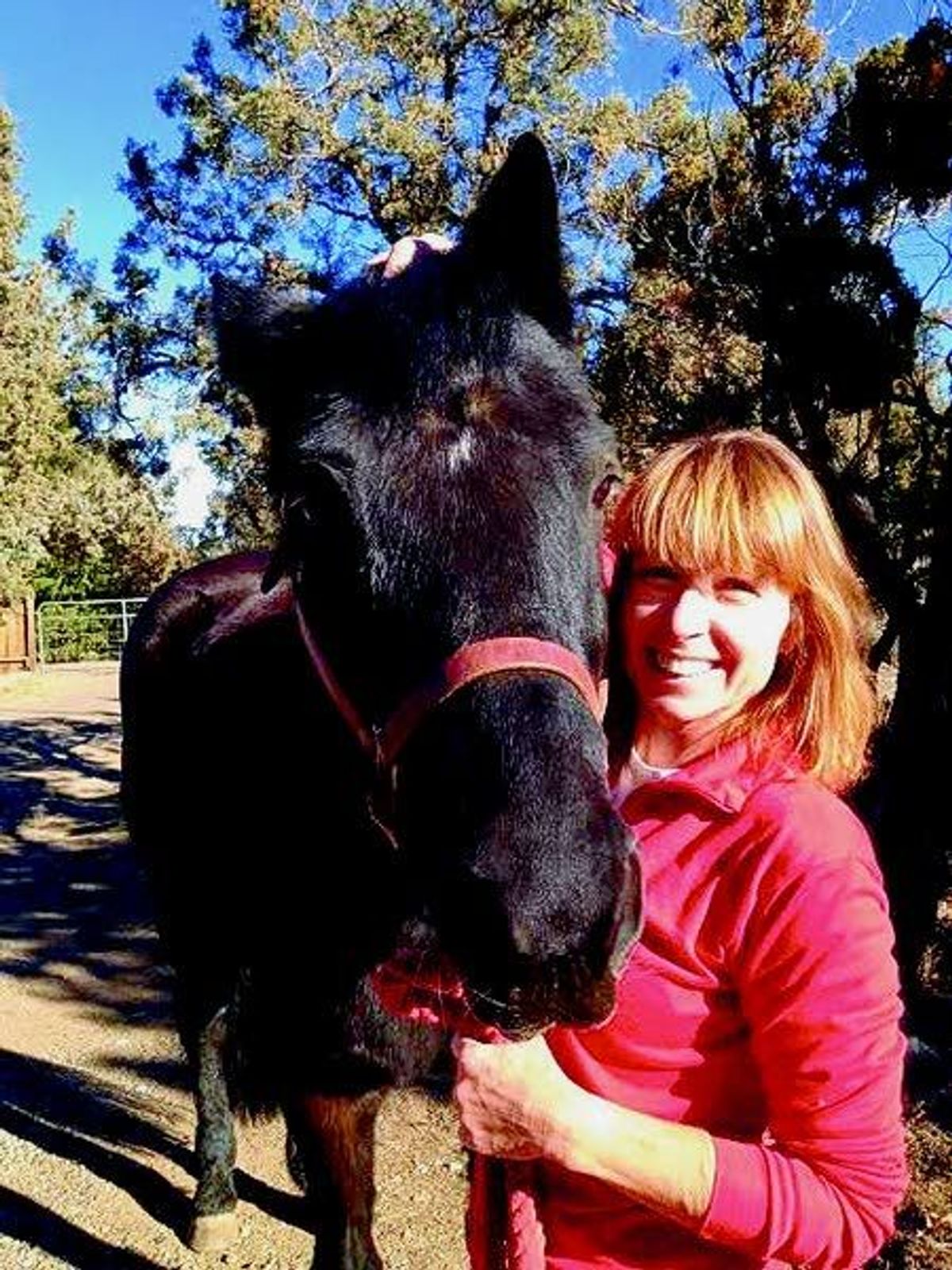 Aimee Lizabeth Townsend Bancroft, 53, formerly of Moscow