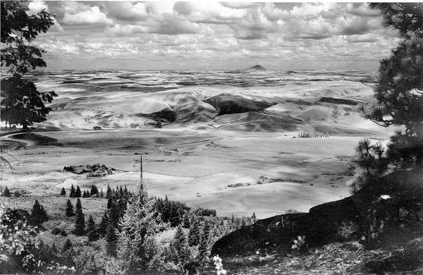 Nearby History: Kamiak Butte began as grazing land, now feeds area nat...