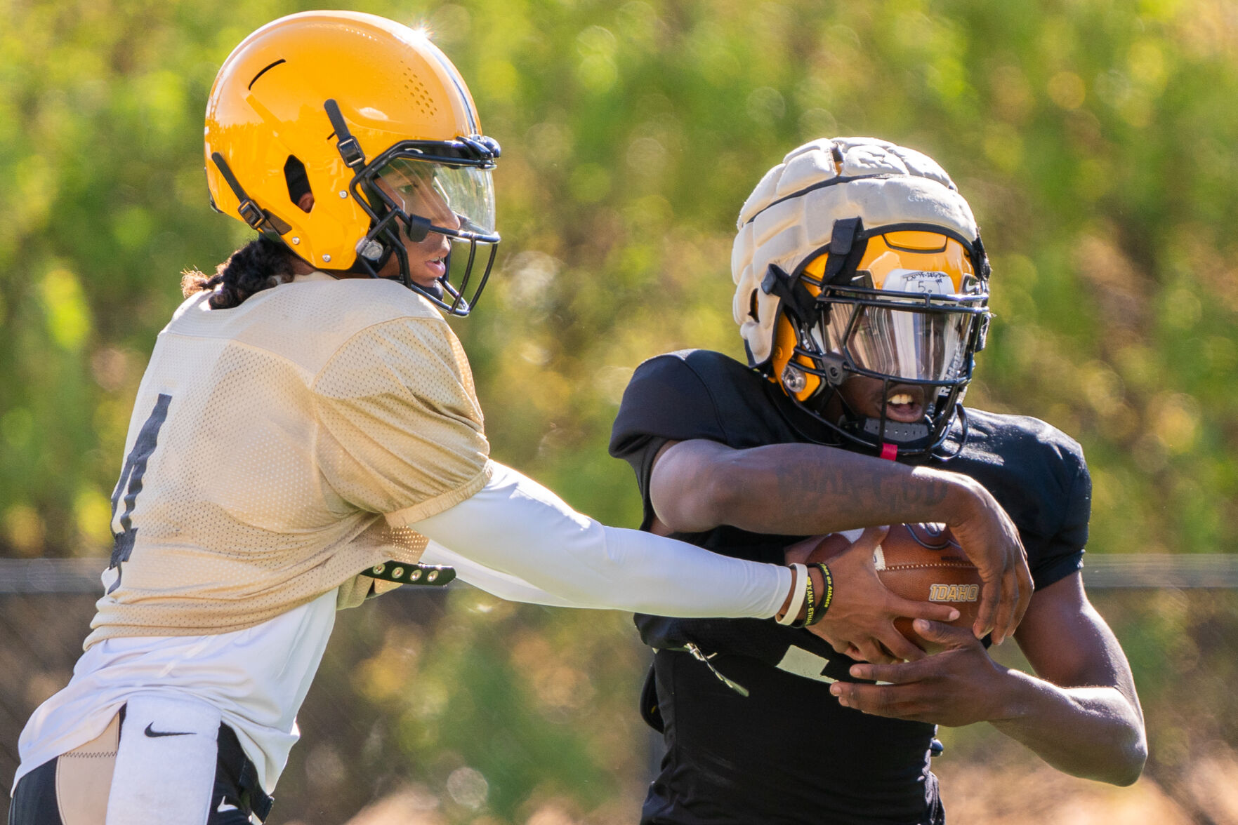 Time to enjoy the ride as Vandals begin their season