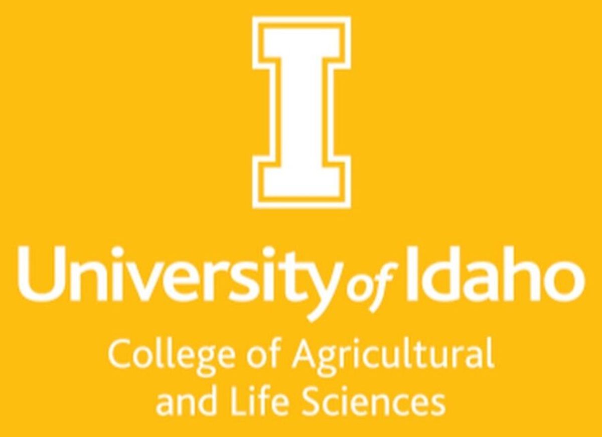 UI lands largest grant in its history